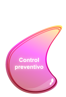 Parte III: Control Organizacional - Tipos de control