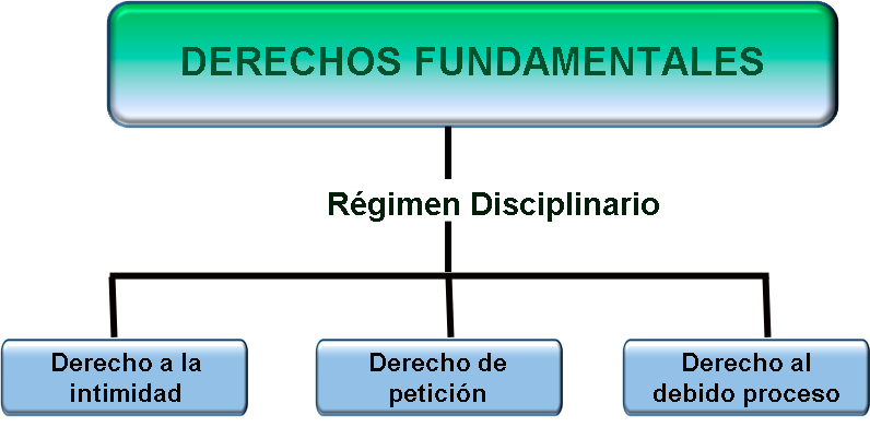 Parte II: Derechos fundamentales